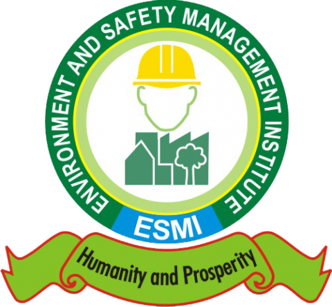 ABOUT US | ESMI - Online